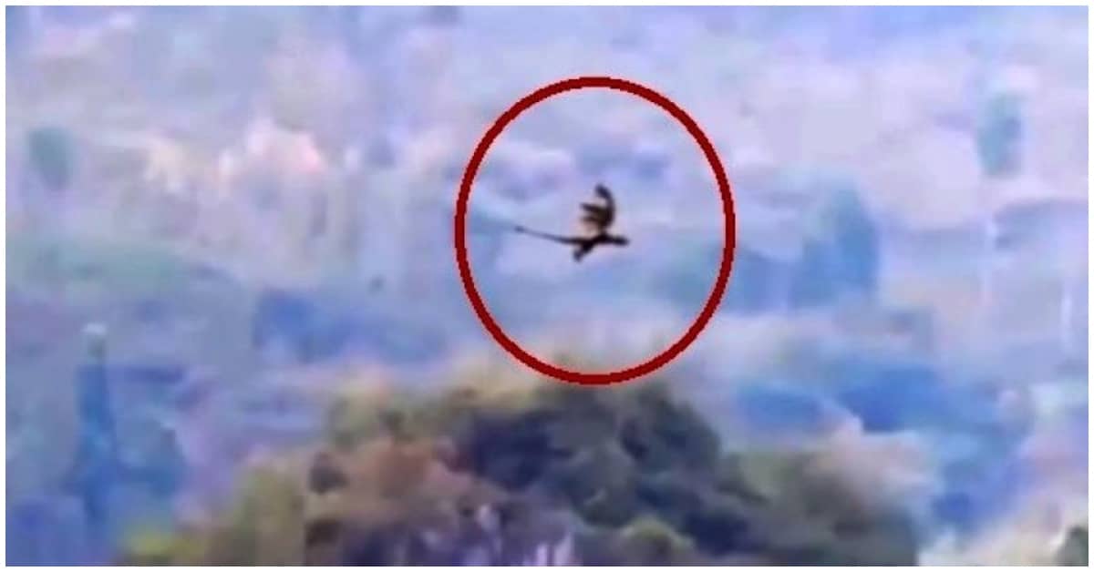 The 40+ Most Powerful and Dangerous Mythical Creatures Ranked