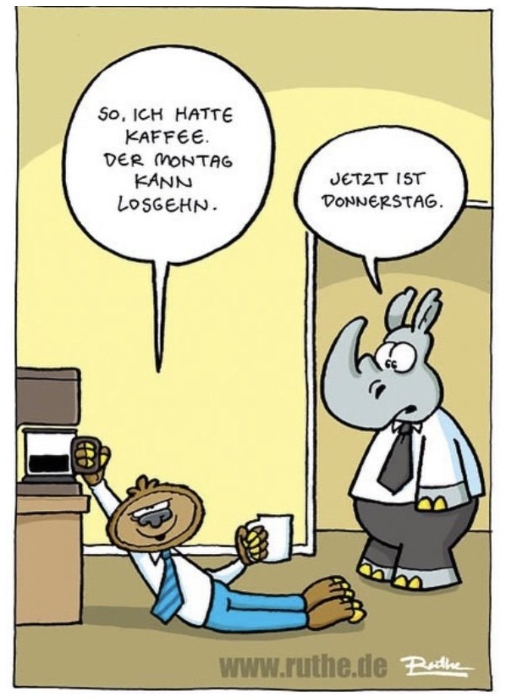 40 Ruthe-Ralph-Comics, die zeigen, wie die Welt funktioniert ...