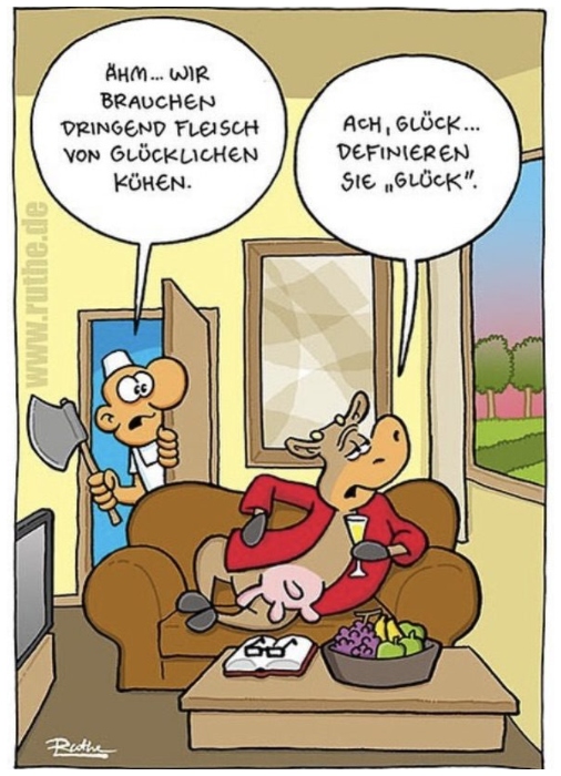 40 Ruthe-Ralph-Comics, die zeigen, wie die Welt funktioniert ...