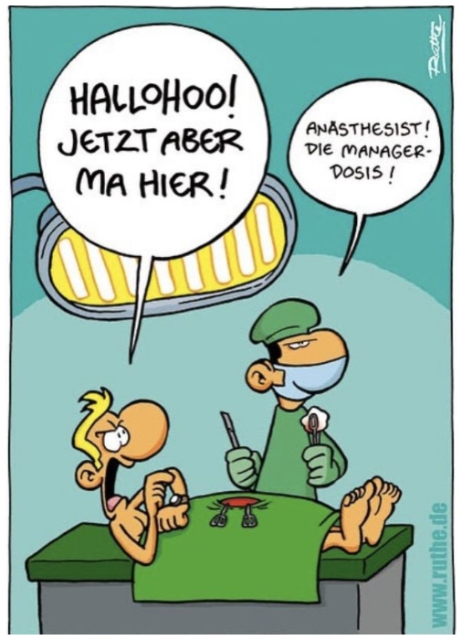 40 Ruthe-Ralph-Comics, die zeigen, wie die Welt funktioniert ...