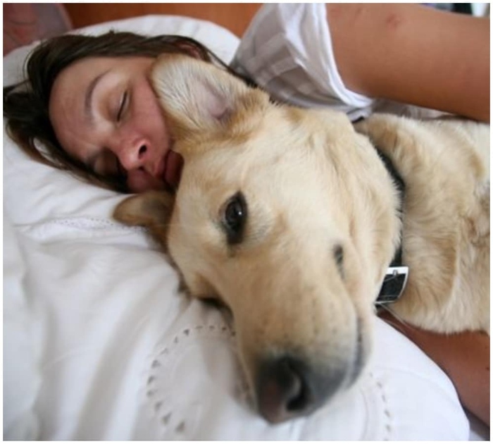 35+ Undiscovered Dog Wishes That Will Surprise Every Owner - avocadoposts