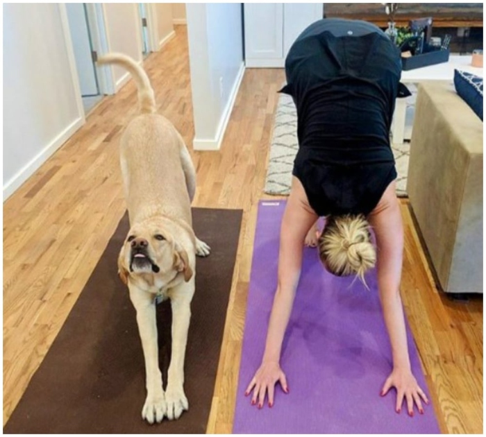 35+ Undiscovered Dog Wishes That Will Surprise Every Owner - avocadoposts