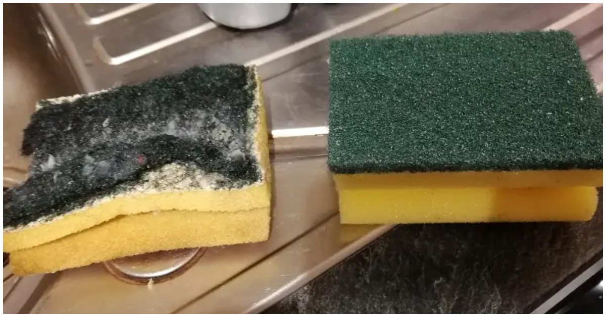 30 Everyday Home Products That Pose Risks Past Their Expiration Date