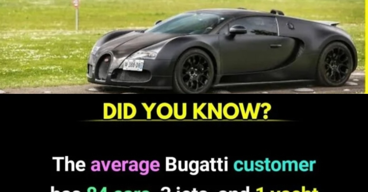 41 Fun Trivia Facts That Will Impress Everyone Around You