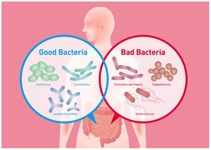 15 Secrets About Our Bodies That Prove We Are a Box Full of Surprises ...