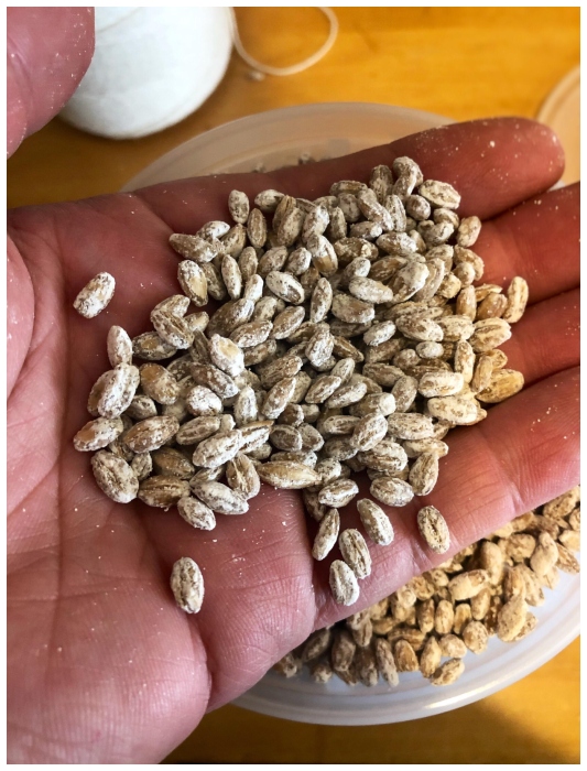 Ranking 40 Foods Recommended by Experts to Slim Down Your Belly and Get ...