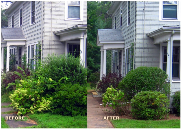 23 Creative and Affordable DIY Projects to Add Curb Appeal and Upgrade ...