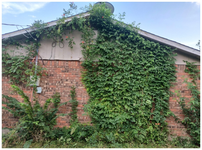 35+ Worst Garden Trends and Designs to Avoid - worldtravelling