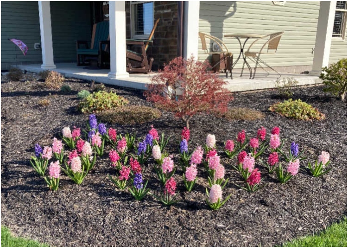 35+ Worst Garden Trends and Designs to Avoid - Comic Stadium