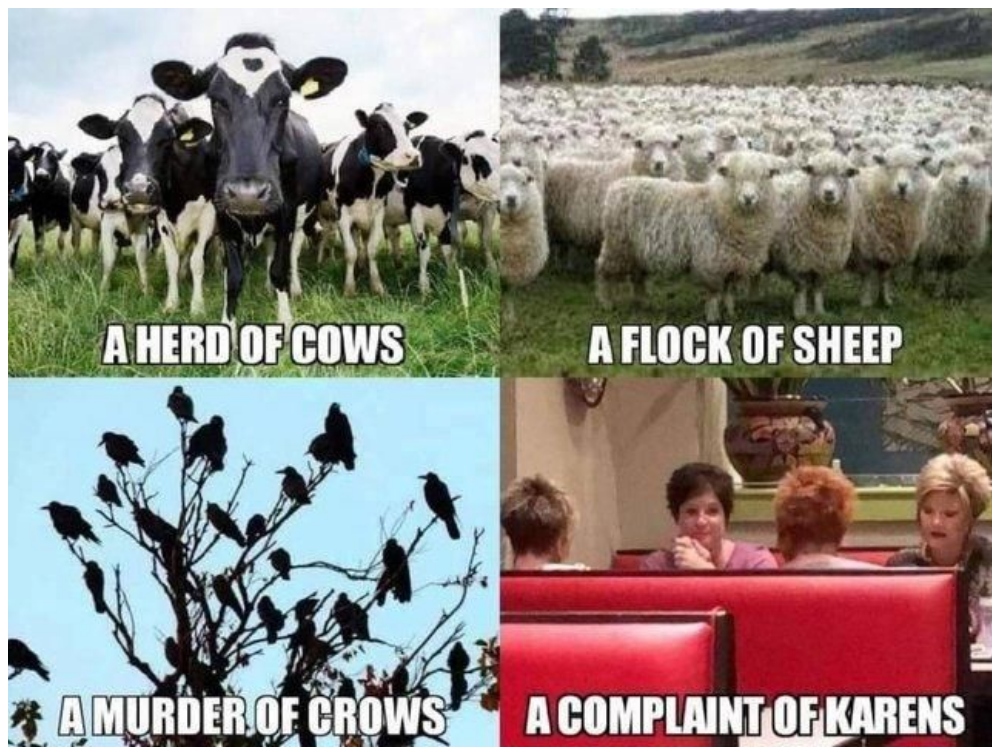 Top 30 Craziest 'Karen' Encounters You’ve Ever Heard Of - avocadoposts