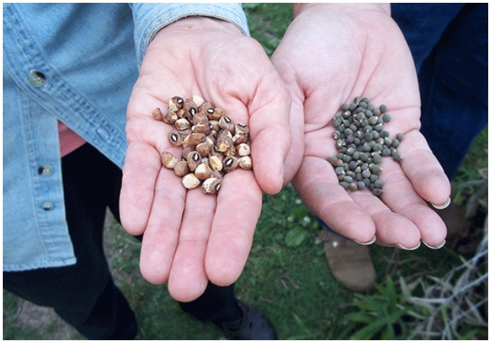 35 DIY Hacks and Tips For a Guaranteed Thriving Garden - Worldlyhistory