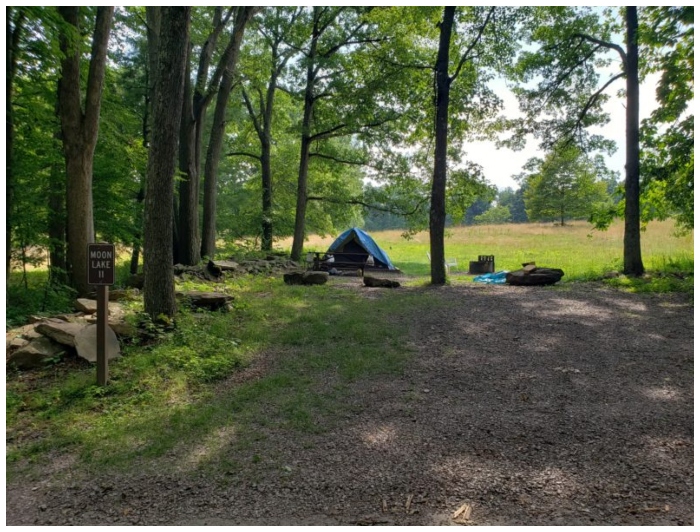 The Best Free Campsites in Each of the 50 US States - avocadoposts