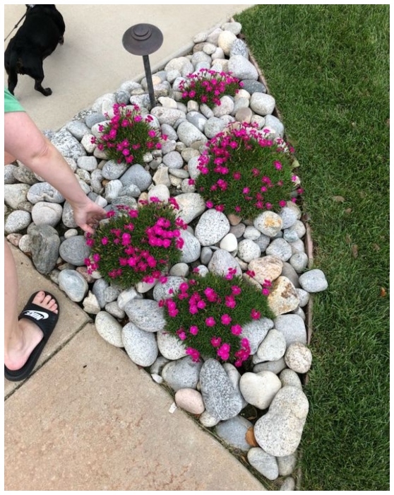 35+ Worst Garden Trends and Designs to Avoid - eternallifestyle