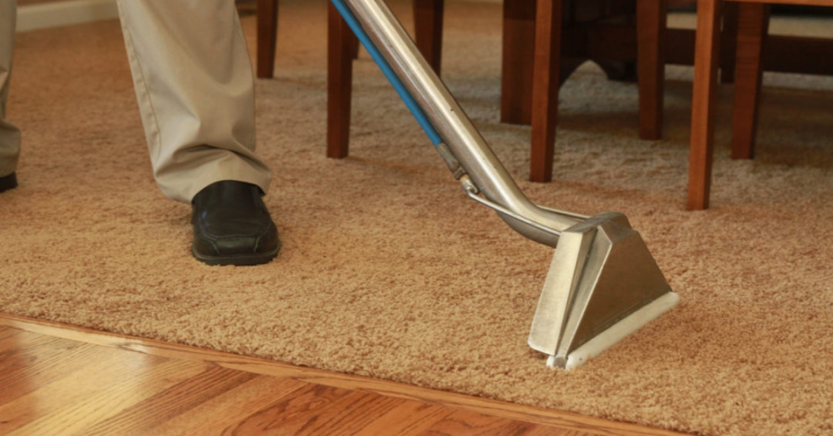 The Power of Steam: A Homeowner’s Guide to Steam Cleaning Carpets